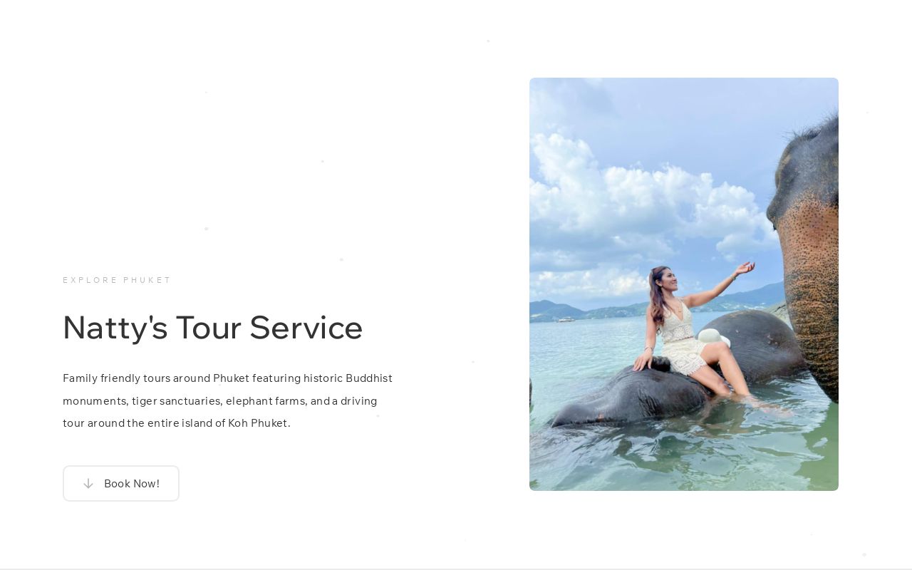 Natty's Tour Service